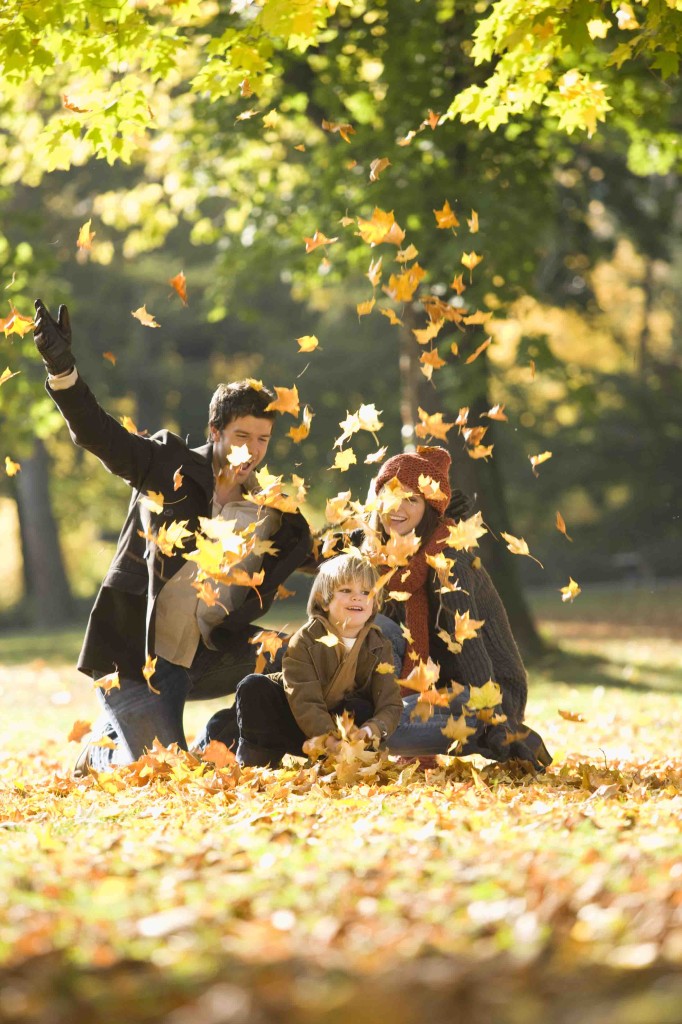 Is Your Home Still Healthy? Fall is a Great Time to Get Re-energized