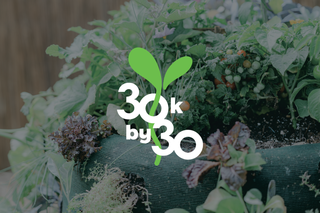 Celebrate Our 30th Anniversary with 30 Hopeful Highlights - What's Up ...